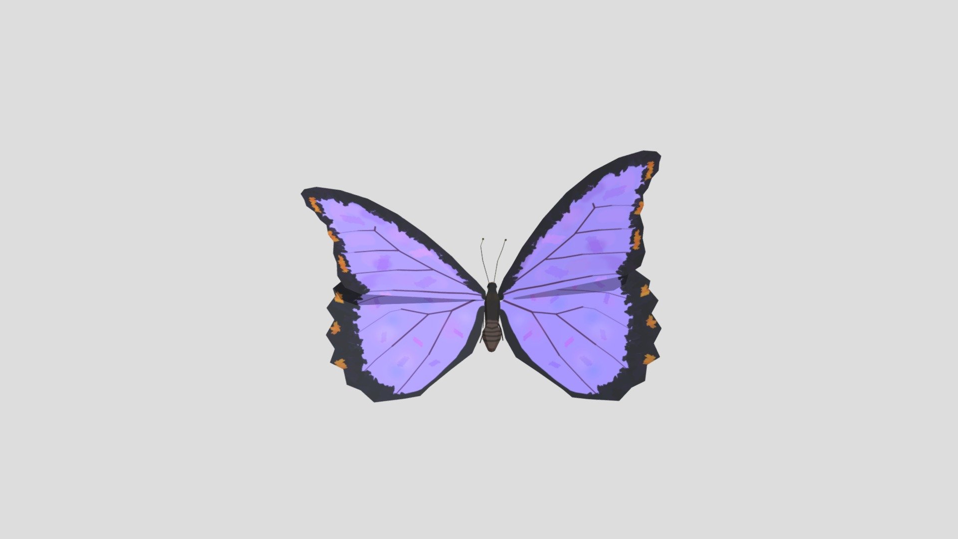 Butterfly - Download Free 3D model by oodum [5defa77] - Sketchfab