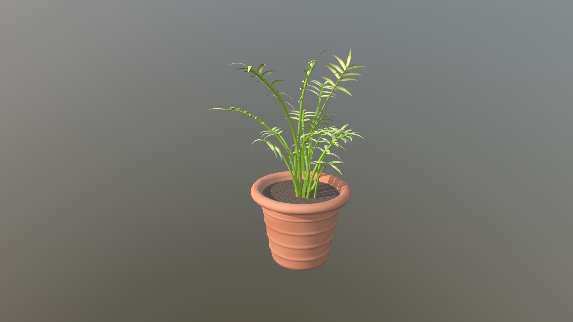 House Plant - 3D model by sschiffer (@blingner) [5df20f9] - Sketchfab