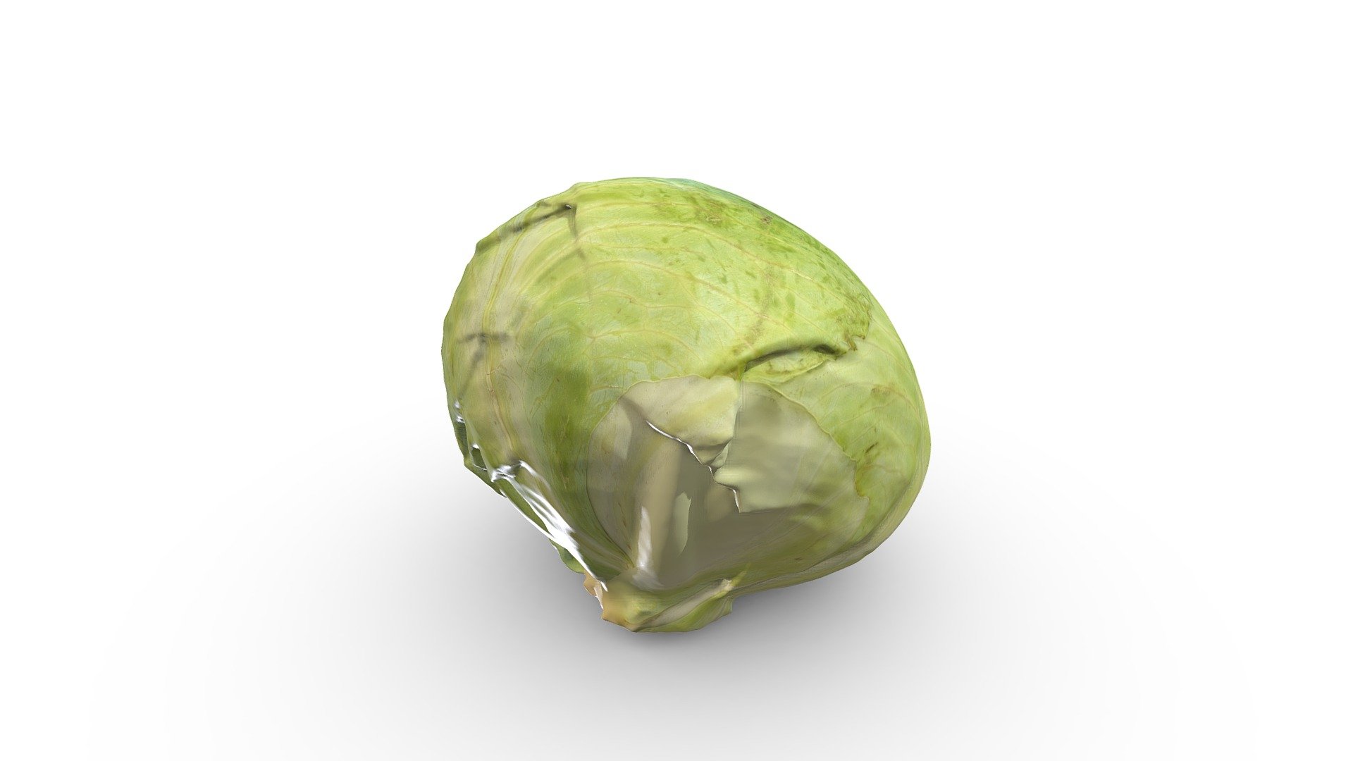 Head of Cabbage - 3D model by RawCatalog.com (@rawcatalog) [5df4484 ...