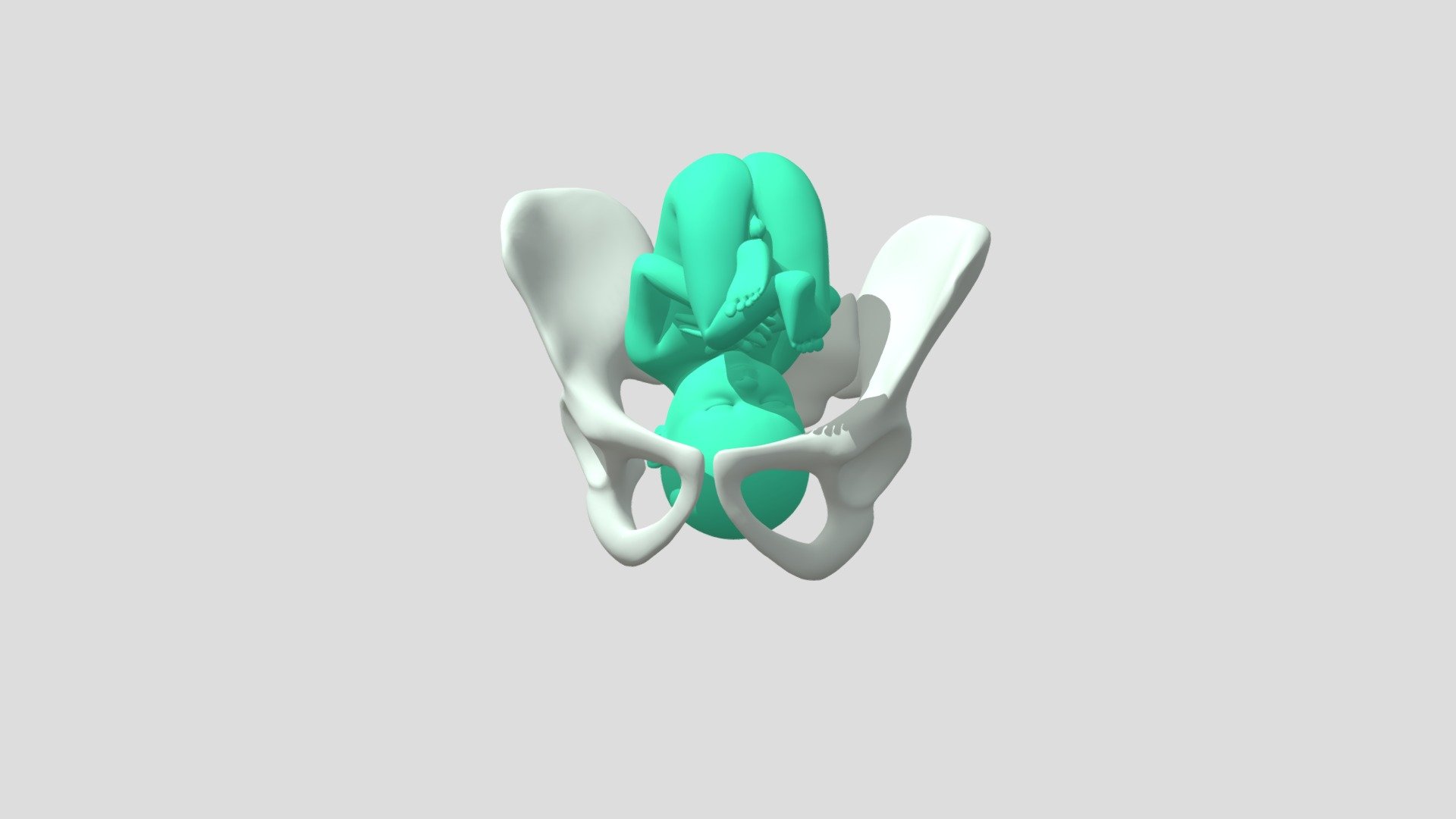 ROP - 3D model by AFTERMSU [5df44a2] - Sketchfab