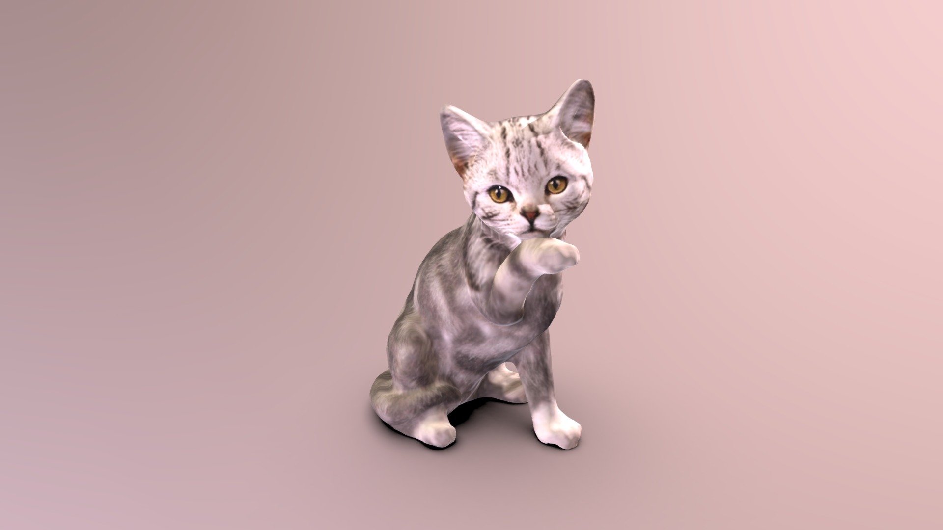 Kitten1 - 3D model by stupidboy34 [5df956d] - Sketchfab