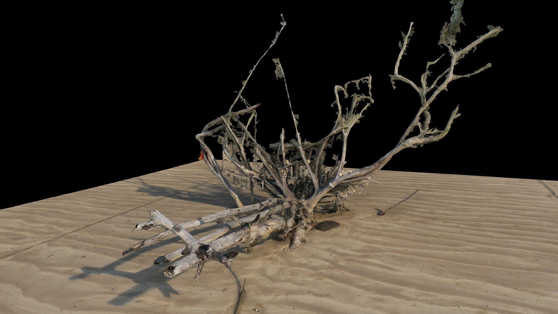 Overly complex tree - Download Free 3D model by whitcomberd [5df9e30 ...