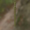 Corrin's sword - Fire Emblem Fates fan art. - Download Free 3D model by ...