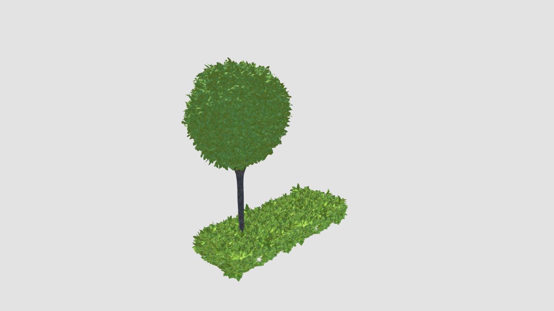 hedge - Buy Royalty Free 3D model by Evermotion [5dfc36a] - Sketchfab Store