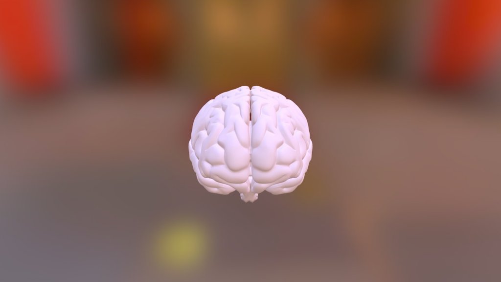 Brain Model(Group Project1)- Test - 3D model by Roshan99 [5e01636 ...