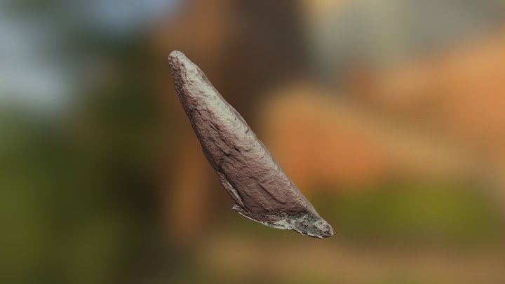 Stonecircle 3D models - Sketchfab