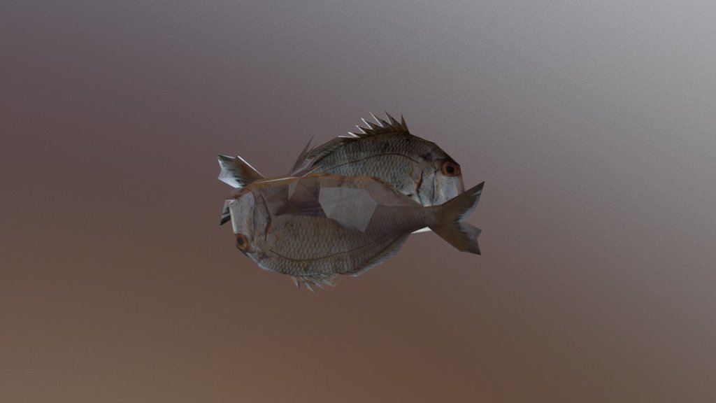 Fish - 3D model by YessCat [5e11555] - Sketchfab