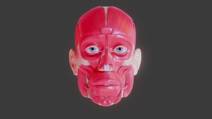 zames1992 (@zames1992) - Sketchfab