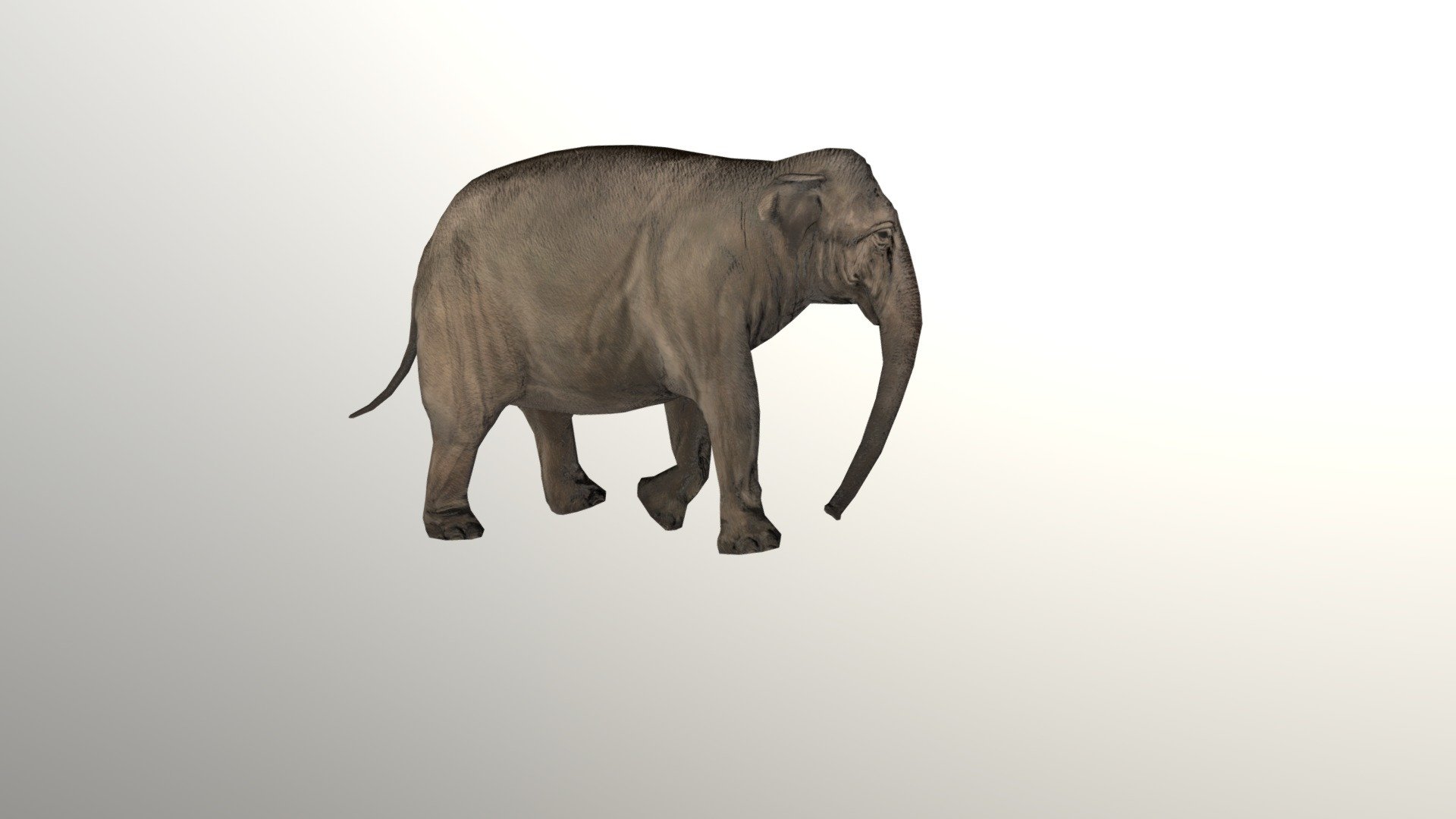 zou_fanasi0707 - 3D model by mejiiiiii [5e1bd93] - Sketchfab