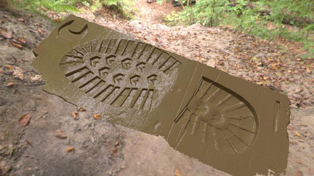 Footprint scan - 3D model by FreeDee Printing Solutions (@freedee ...