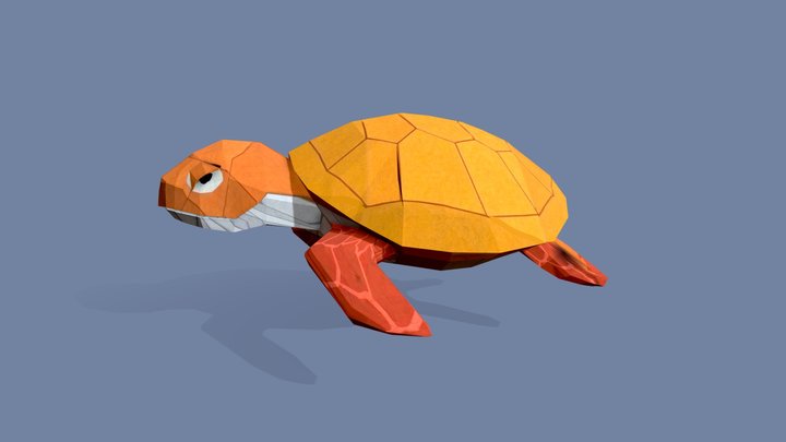 Turtle 3D models - Sketchfab