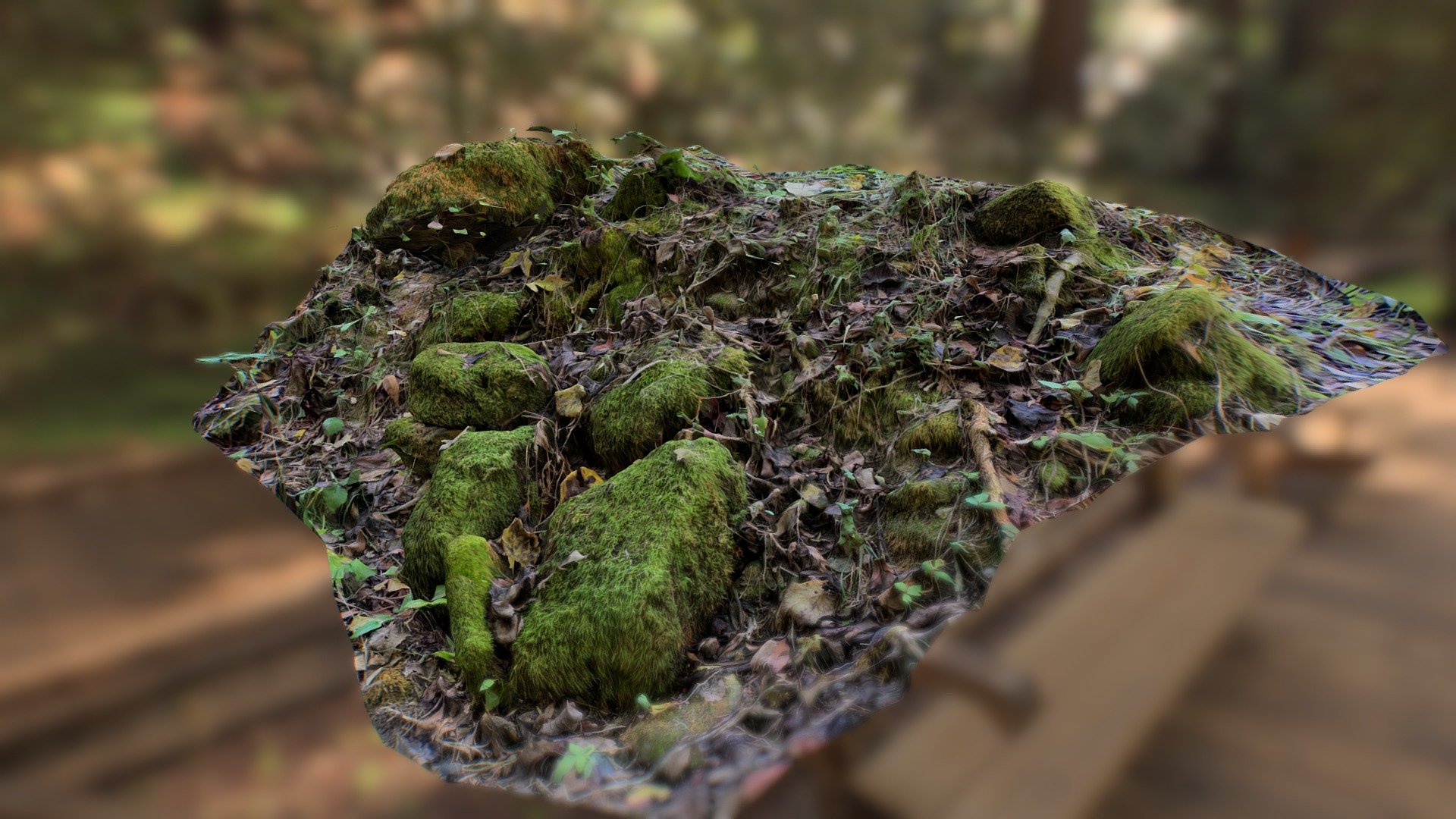 Mossy rocks in TN - MTSU - Download Free 3D model by MTSU Animation ...