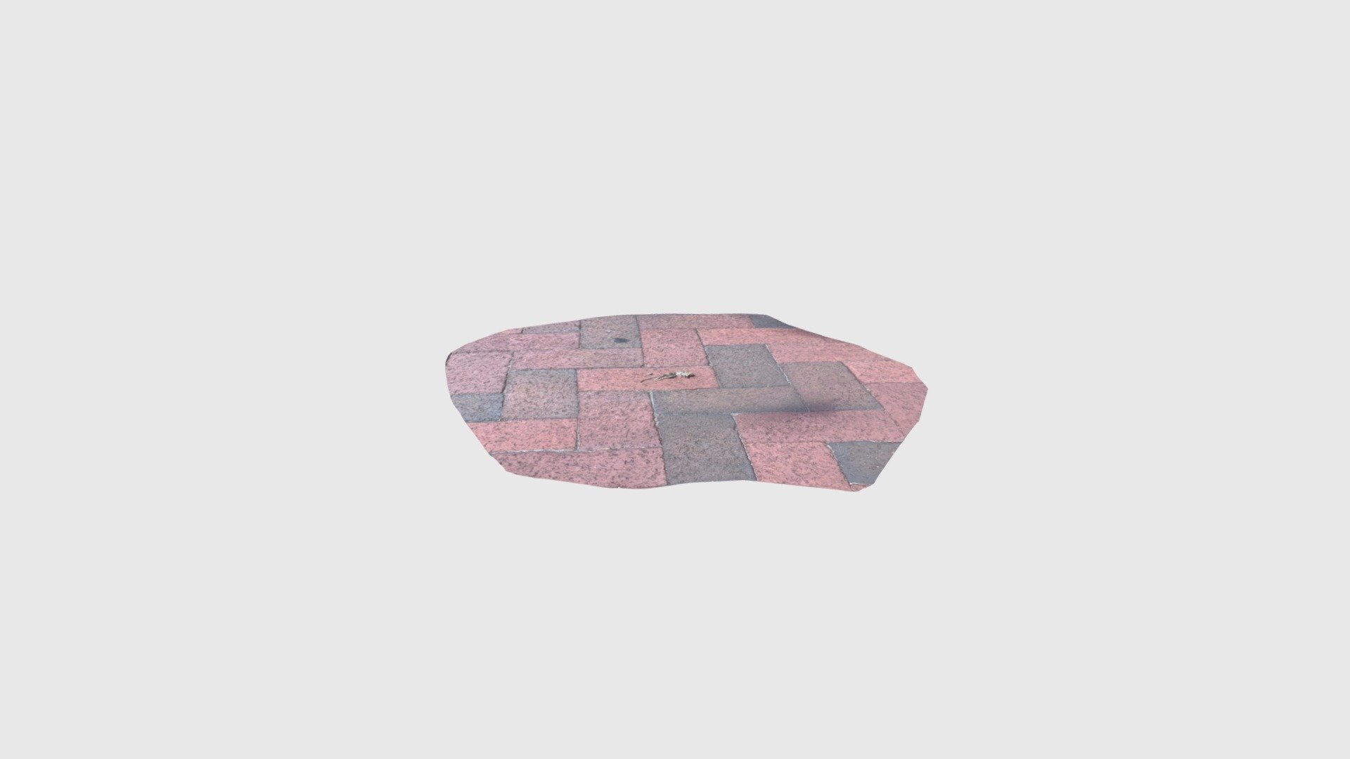 Mummified mouse (VCU_3D_7397) - Download Free 3D model by Virtual ...