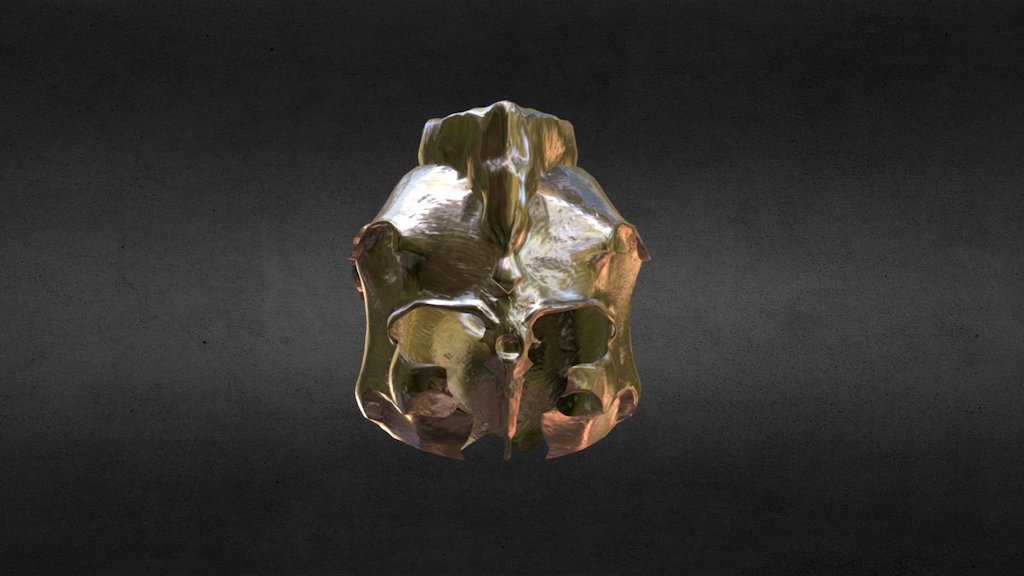 Staghelm - 3D model by mlimon813 [5e34898] - Sketchfab