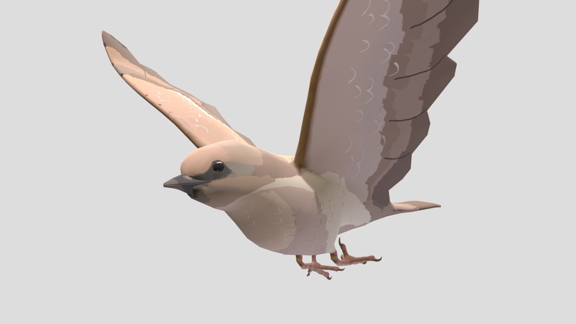 Cartoon Sparrow With Animations Buy Royalty Free 3d Model By Mixall Mixaills [5e34e84