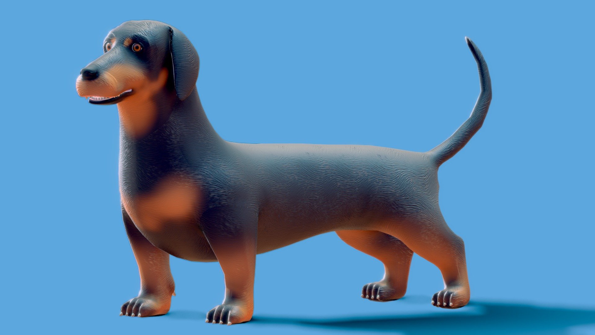 Low poly - Stylized dog - Sausage Dog - Buy Royalty Free 3D model by ...