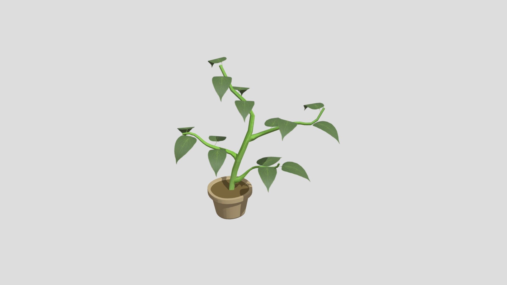 plant project - 3D model by Wyatt Couch (@wlcouch) [5e3c2d9] - Sketchfab