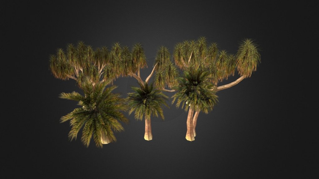 Yucca Tree - 3D model by NMD (@fluv) [5e477a9] - Sketchfab
