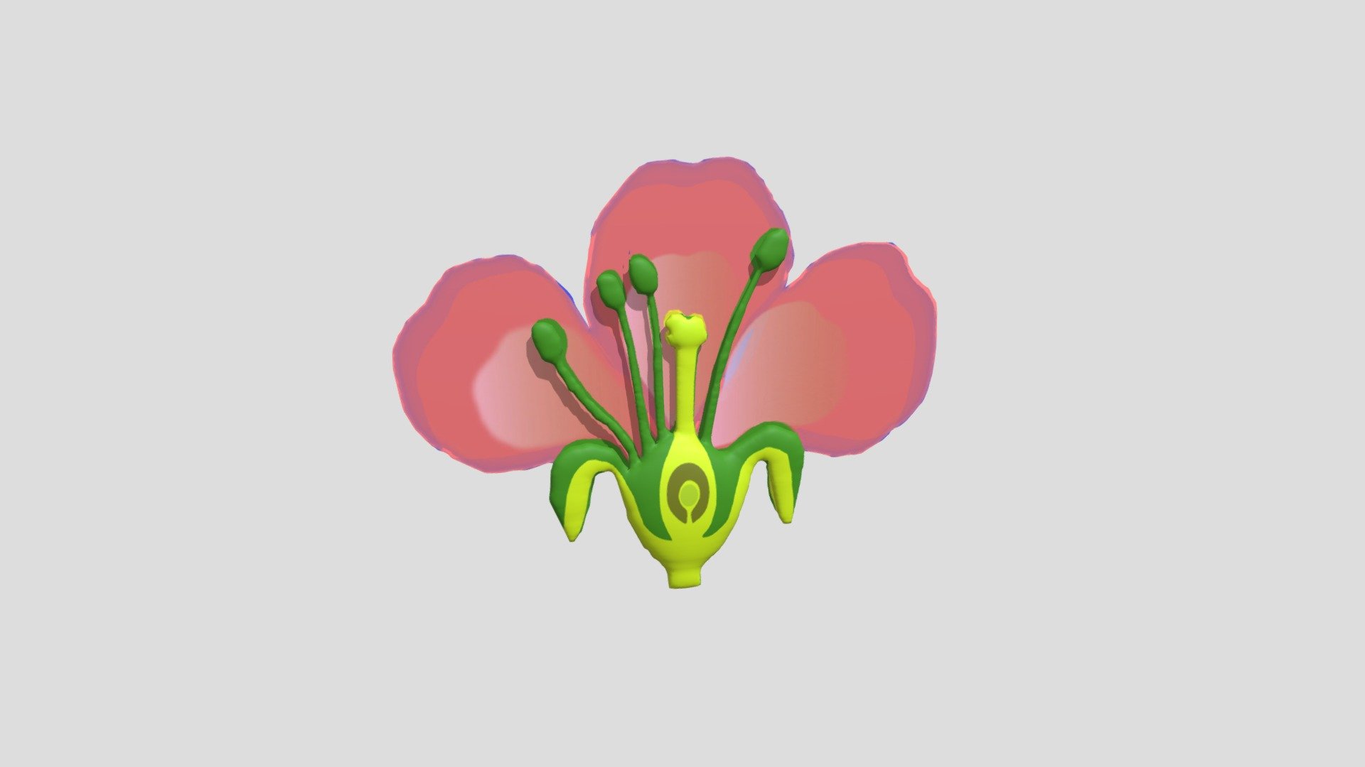 Bagian-Bagian Bunga - Download Free 3D model by Nabilah (@Nabilah19 ...