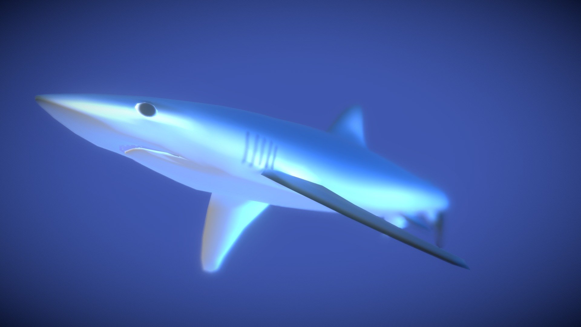 Blue Shark - 3D model by CatfishYAY [5e60229] - Sketchfab