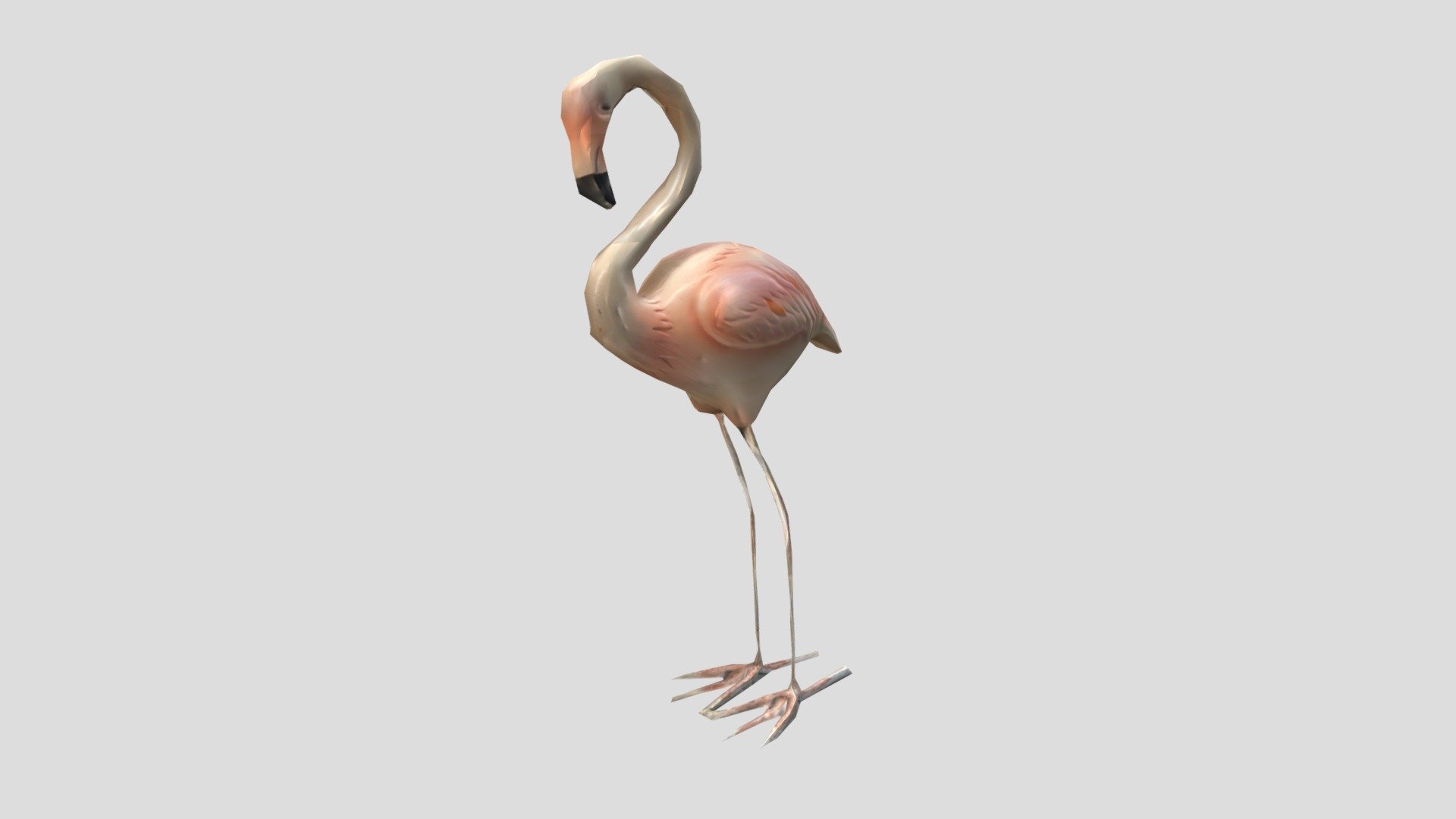 Pink Flamingo - Download Free 3D model by David Wigforss (@dwigfor ...