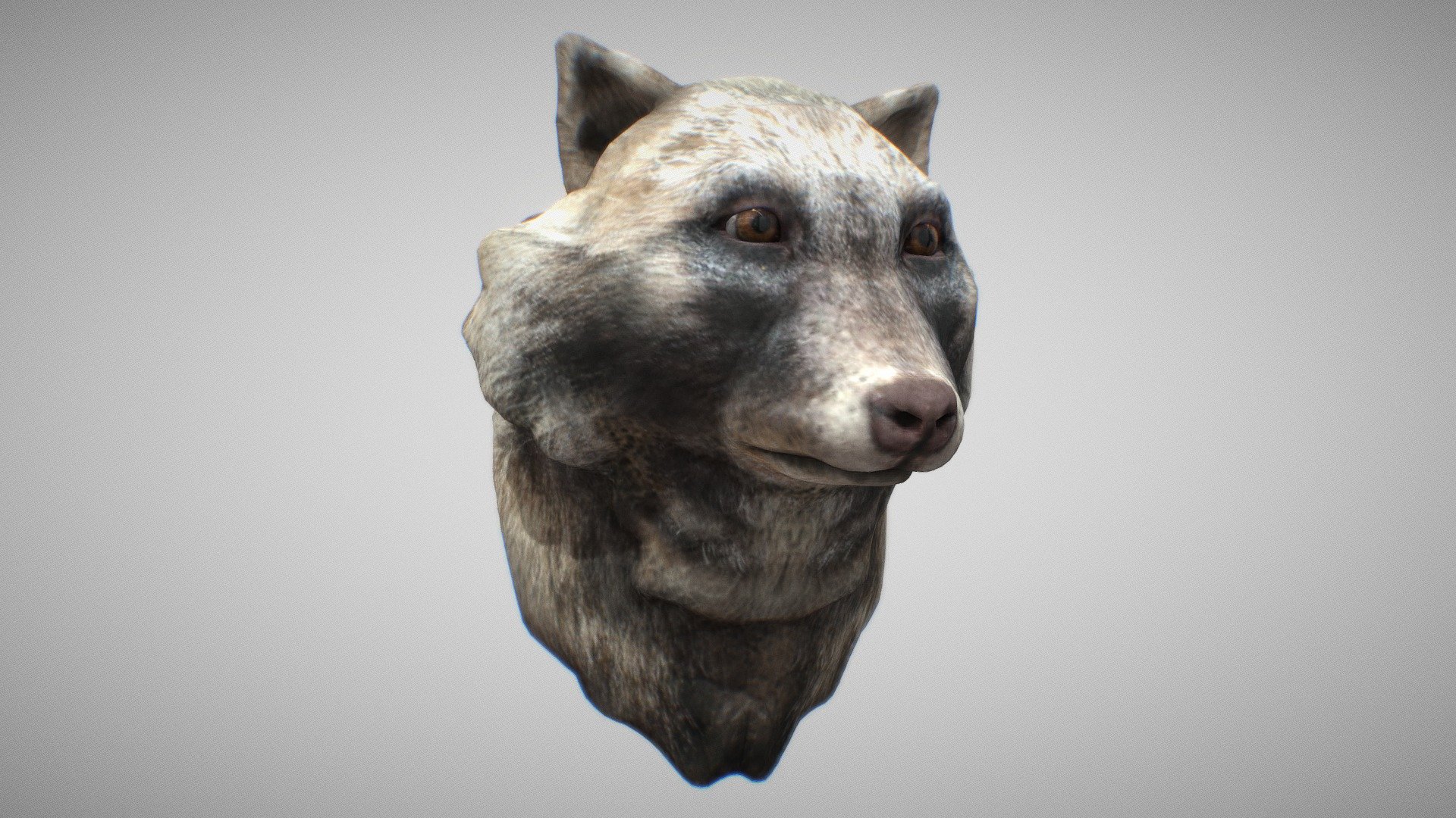 Tanuki - Buy Royalty Free 3D model by Tom Johnson (@Brigyon) [5e7af3f ...