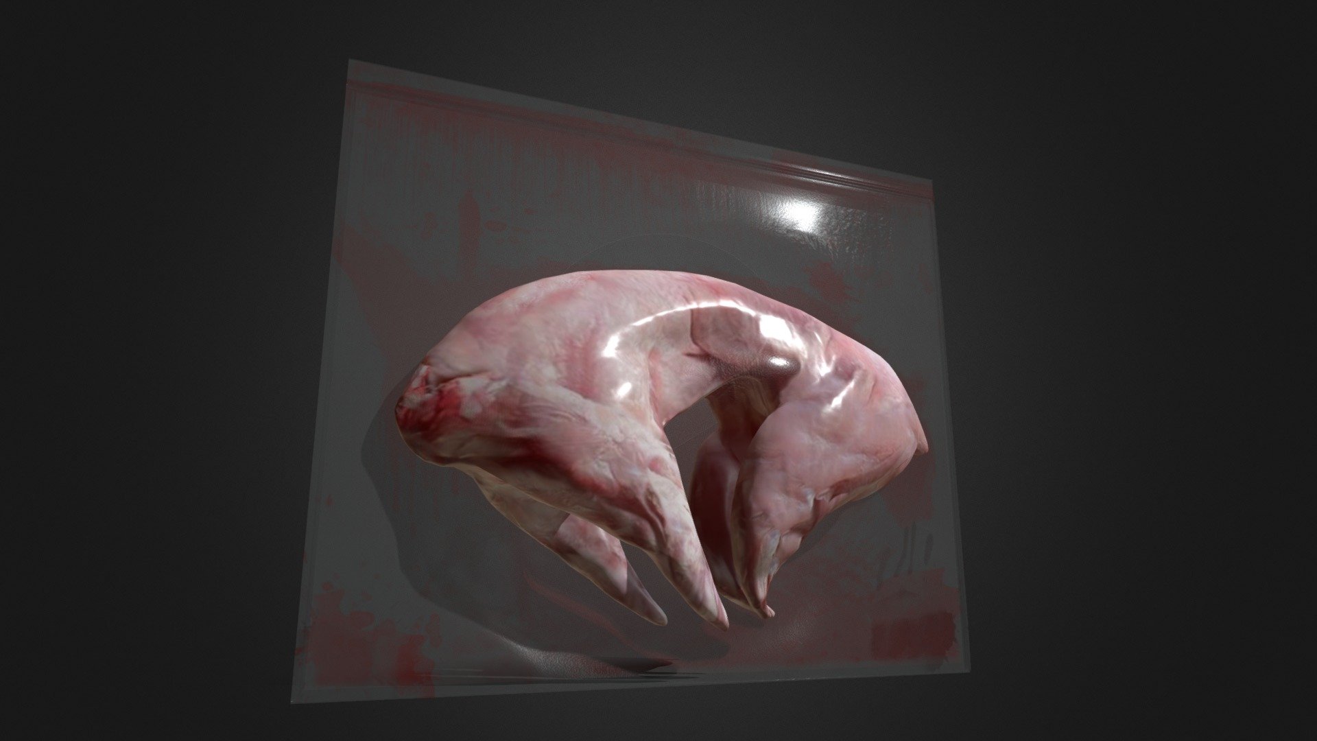 Plastic with Rabbit - 3D model by Jade (@wendylin) [5e7db4b] - Sketchfab
