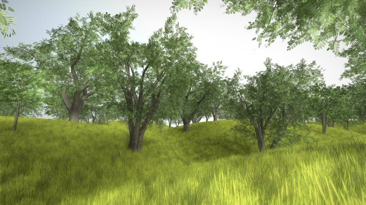 Tree-animation 3D models - Sketchfab