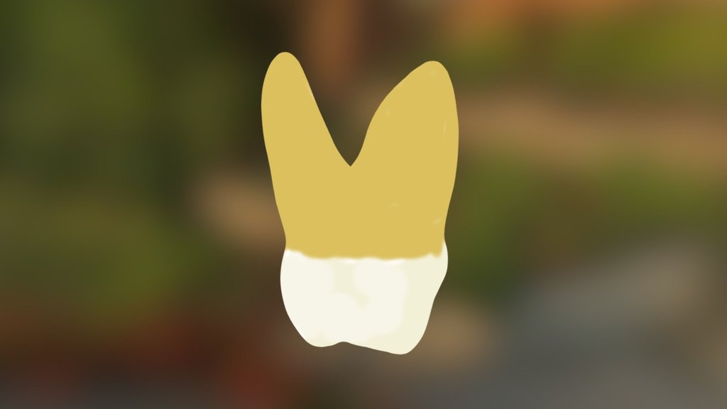Upper 1st Molar - Download Free 3D model by hussainmr [5e9df93] - Sketchfab