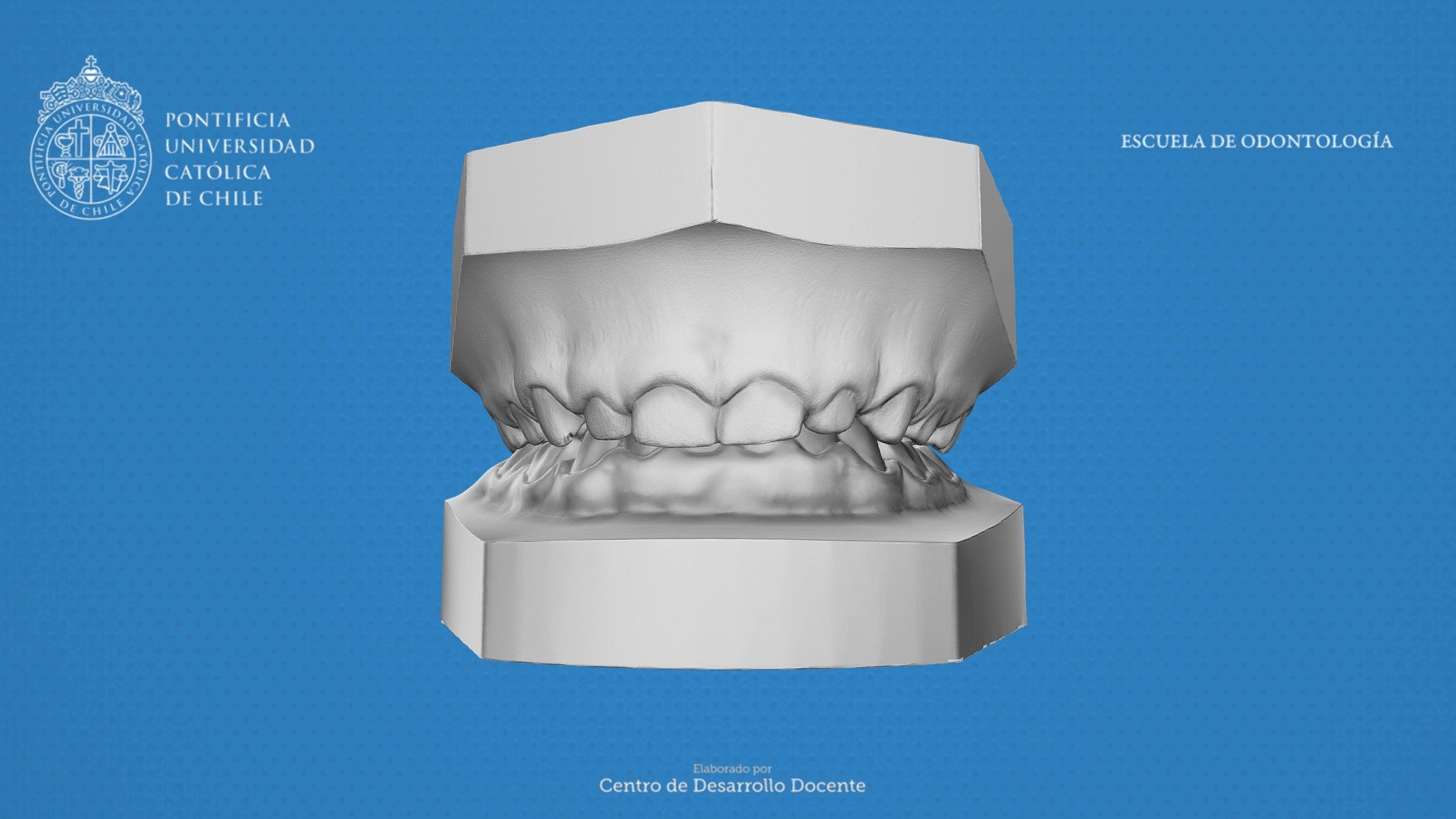 N2-O - 3D model by VirtuaLab UC (@virtualabuc) [5ea765c] - Sketchfab