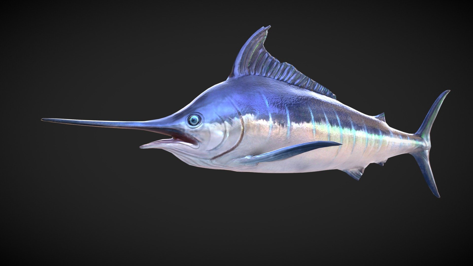 Blue Sailfish 01 PBR - Buy Royalty Free 3D model by lostsoundzz ...