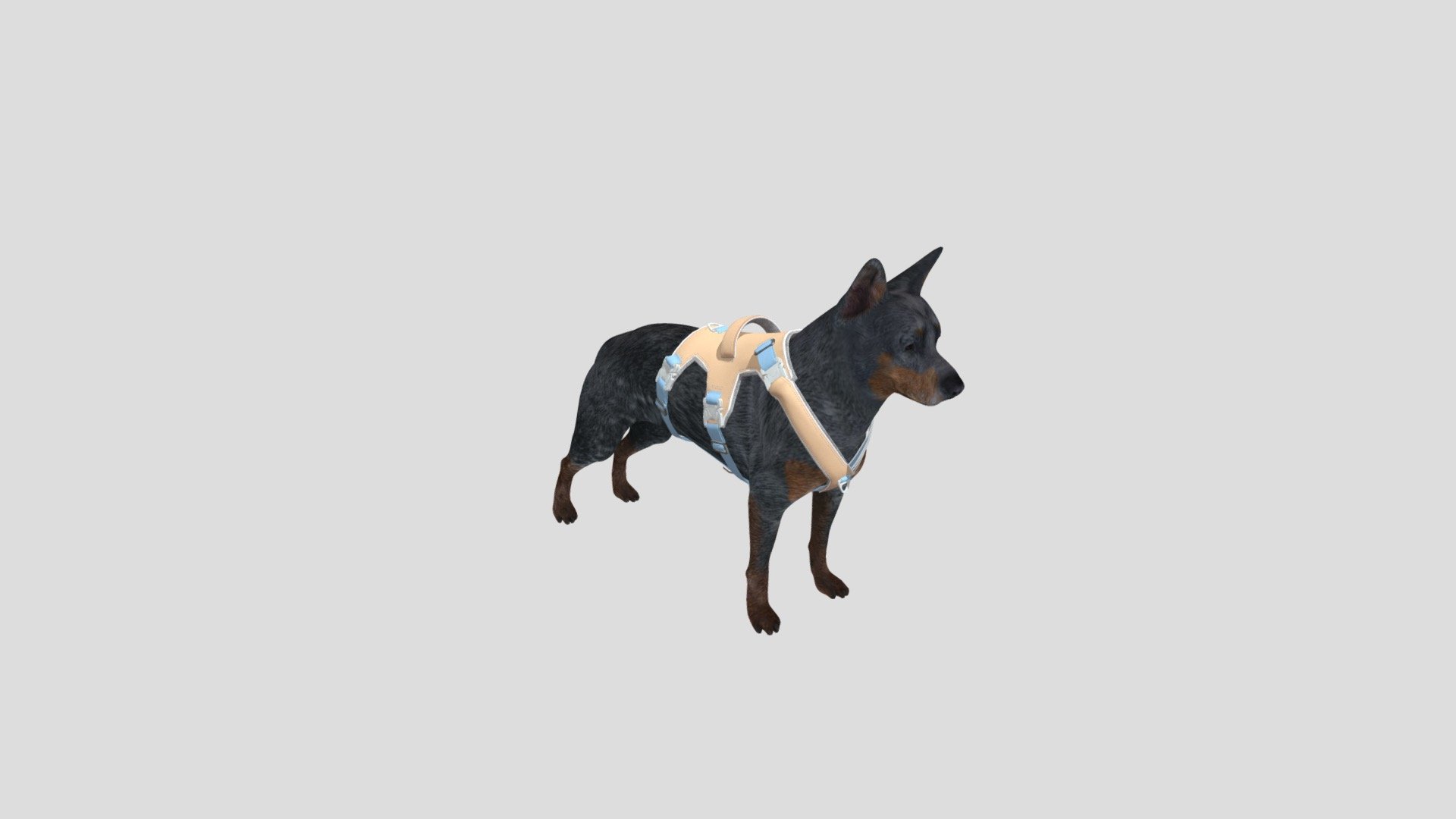 Dog_3point - 3D model by annivallsalu [5eb0ae3] - Sketchfab