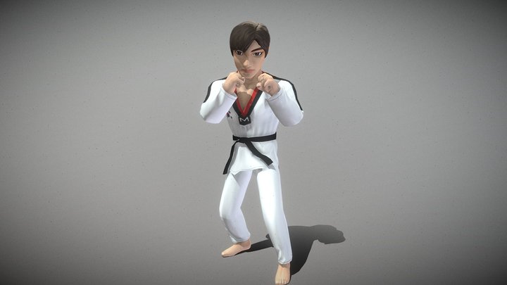 Taekwondo 3D models - Sketchfab