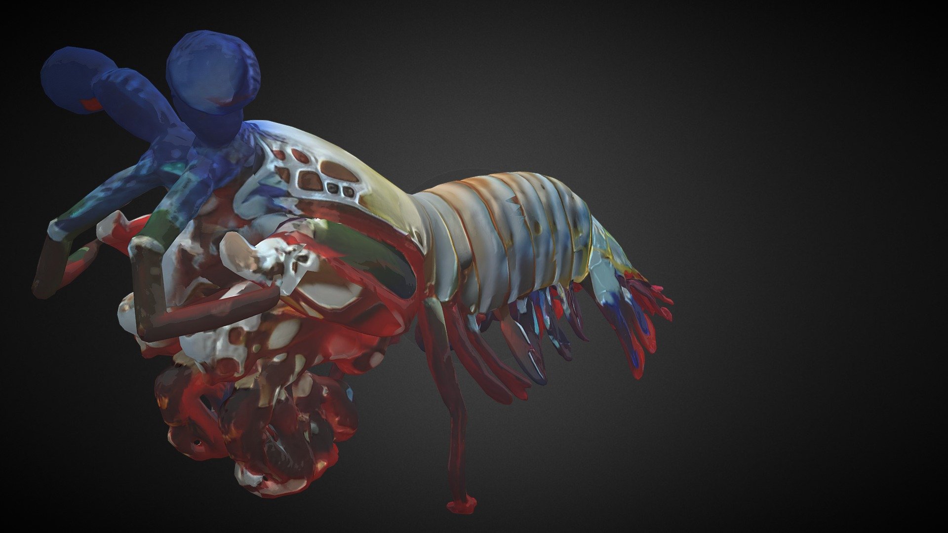 Mantis Shrimp (for the ScubaVerse) - 3D model by Drone-Services.Biz ...