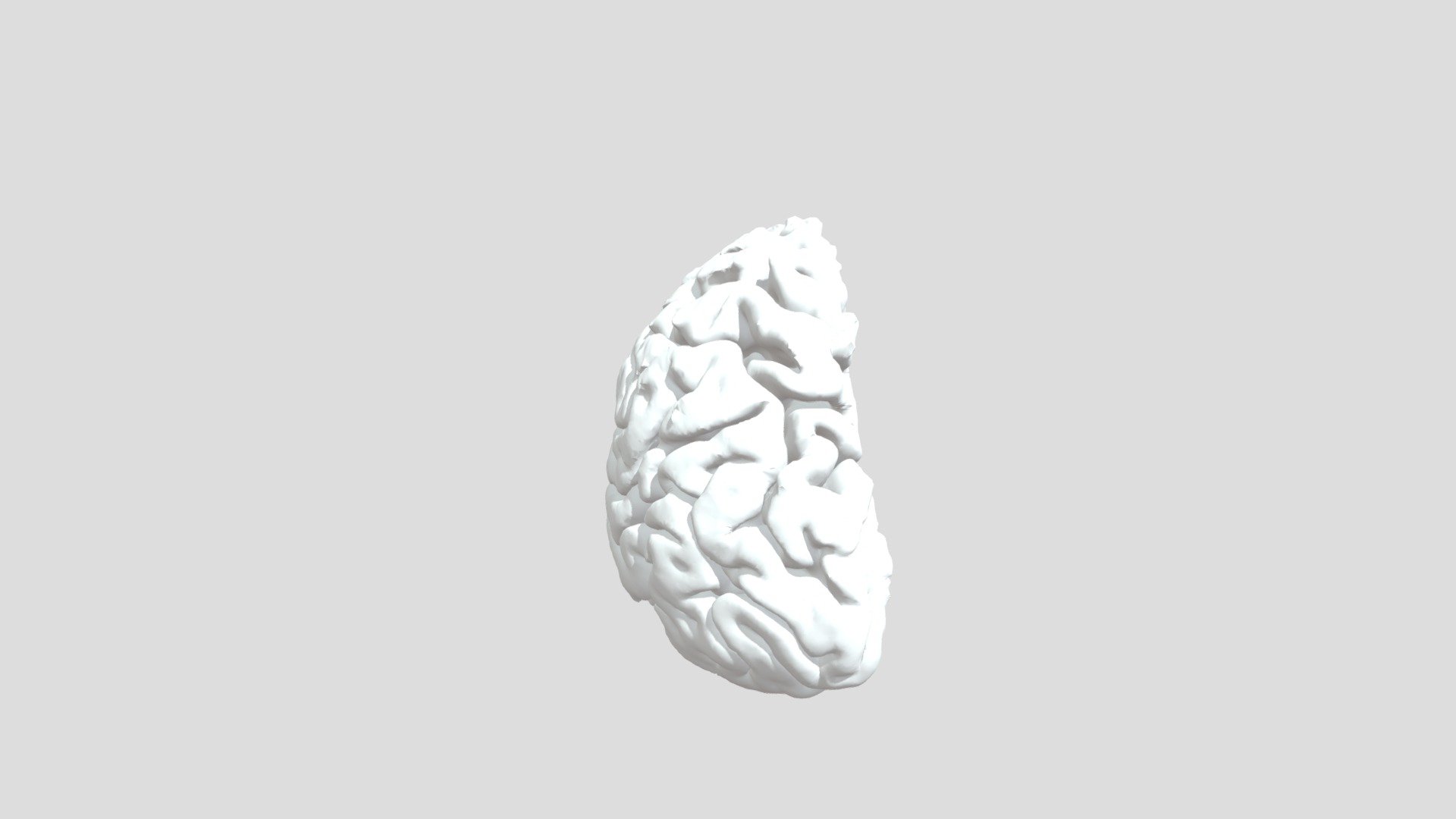 Psych Brain AR project - 3D model by quinnconnolly [5ed2317] - Sketchfab