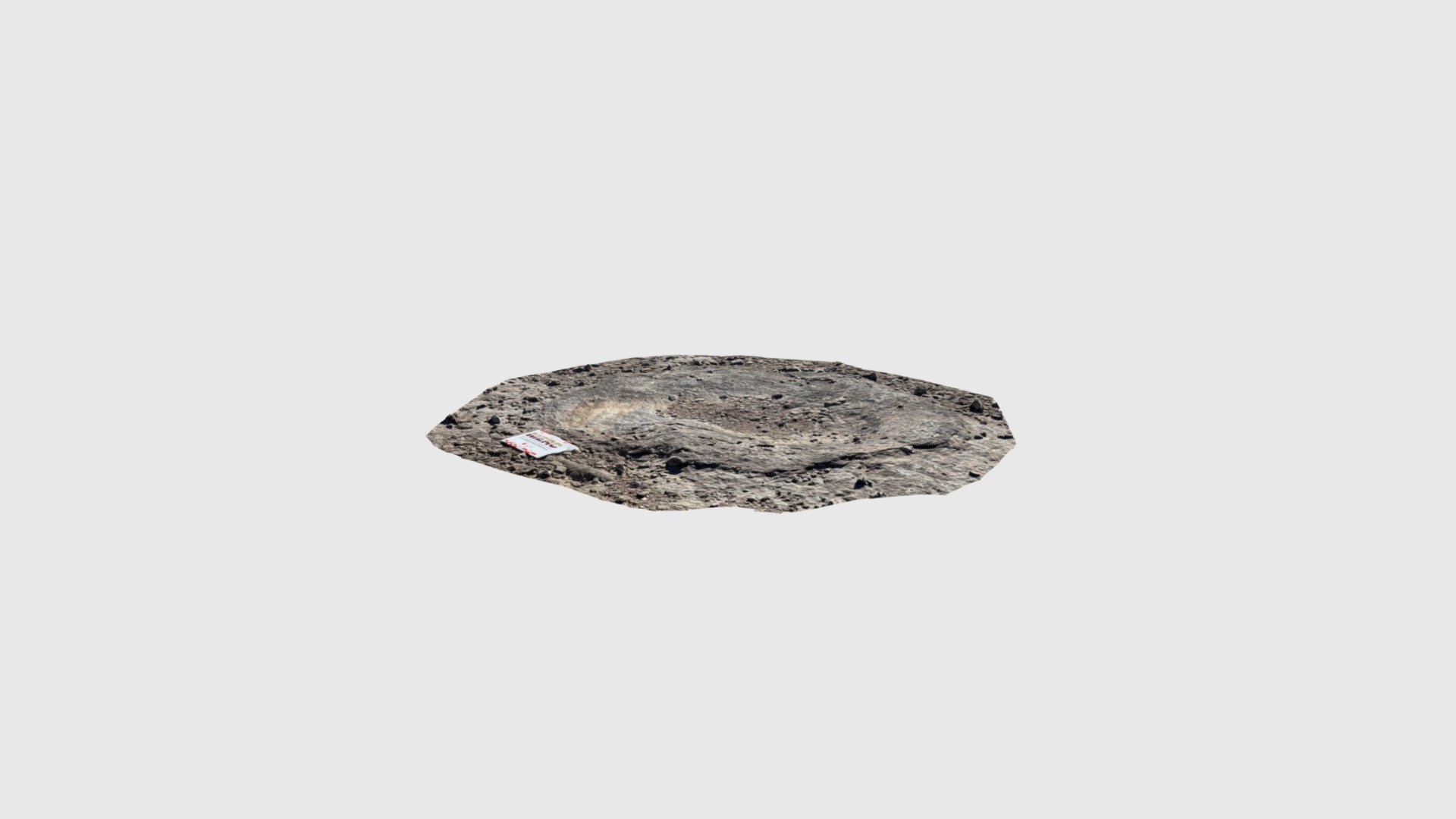 Colonial coral port lob - Download Free 3D model by UTSC DPES ...