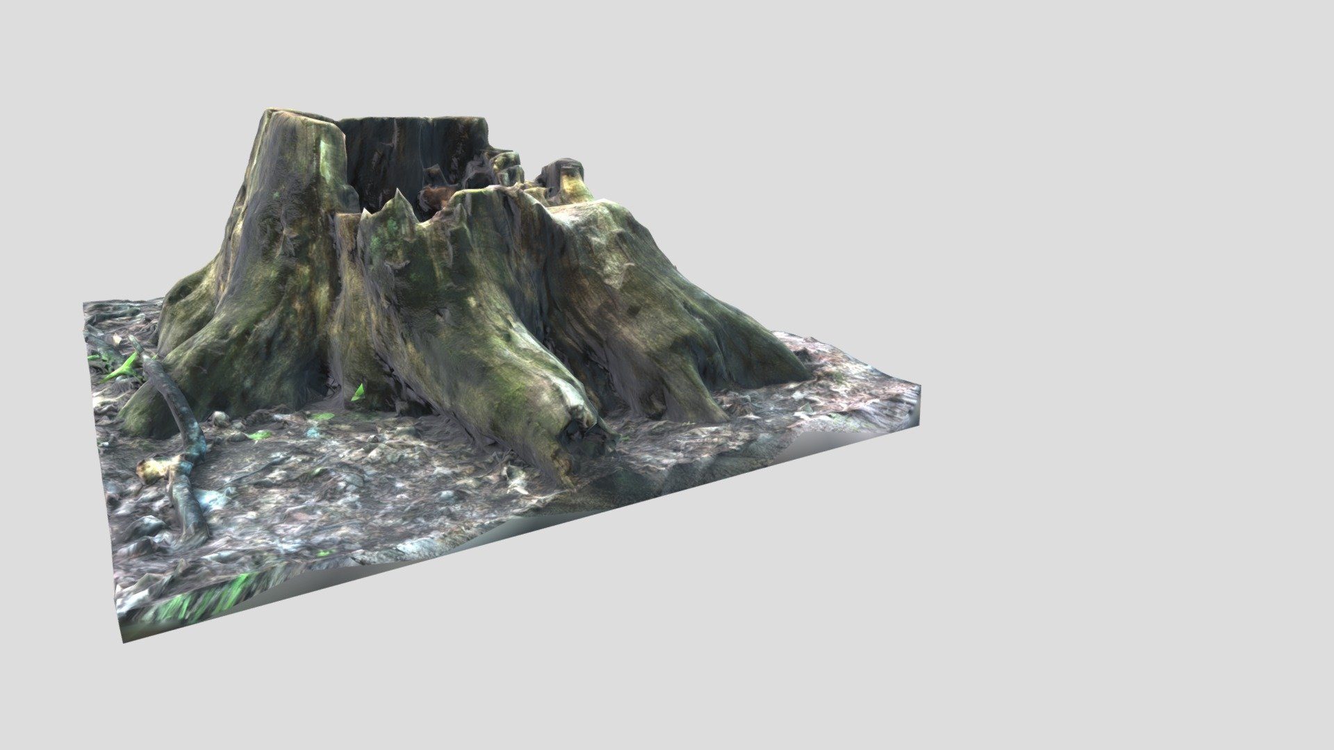 Wood root 3d scan free - Download Free 3D model by brntpc [5ee0bb4 ...