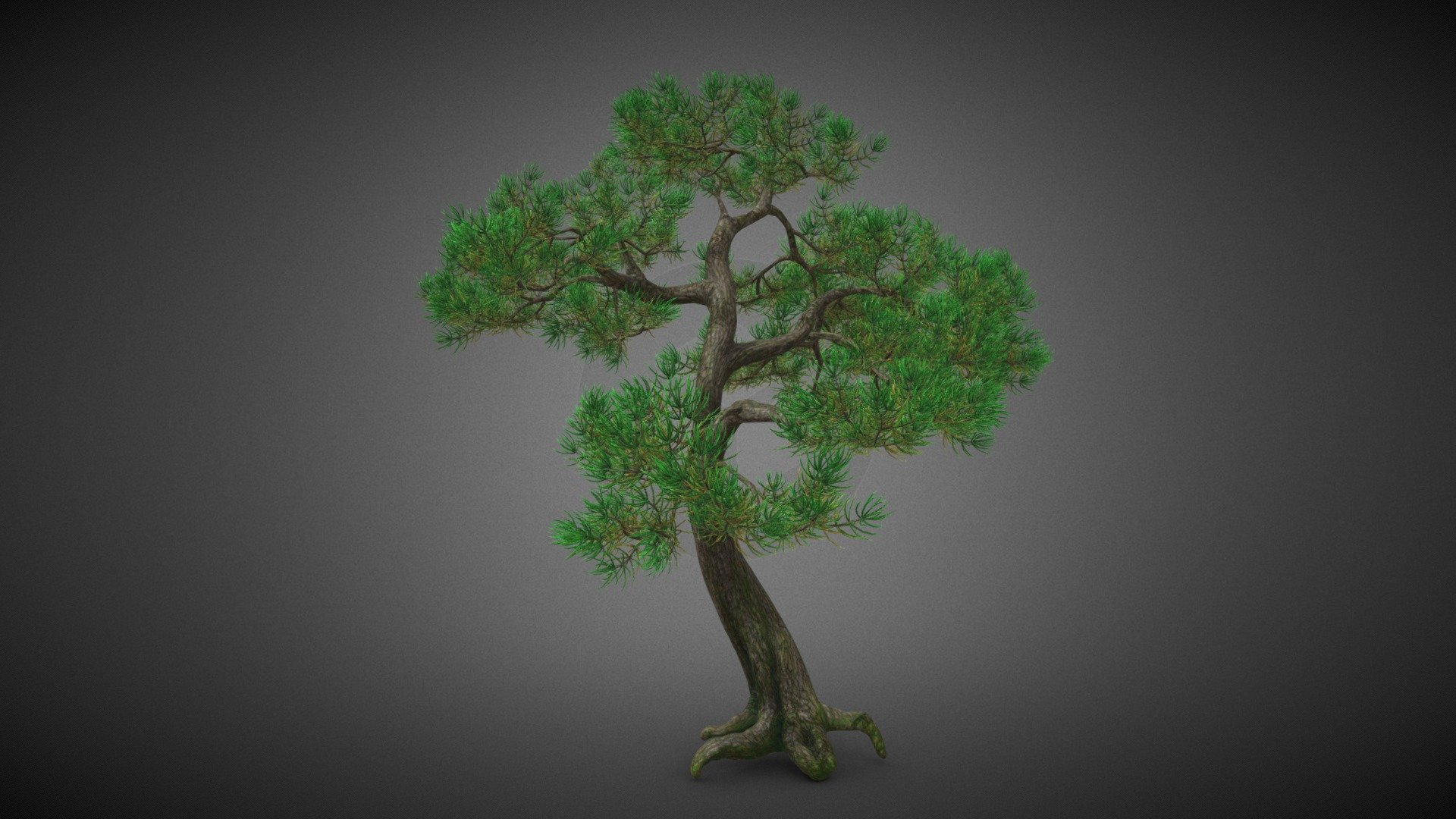 Pine Tree - Buy Royalty Free 3D model by misitewang [5ee1826 ...