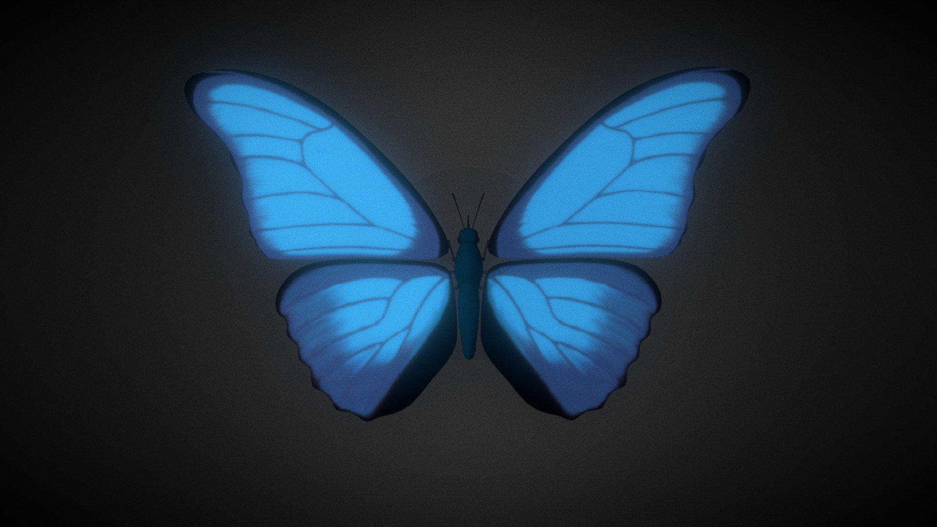 Morpho - 3D model by seeco [5ef0cc4] - Sketchfab