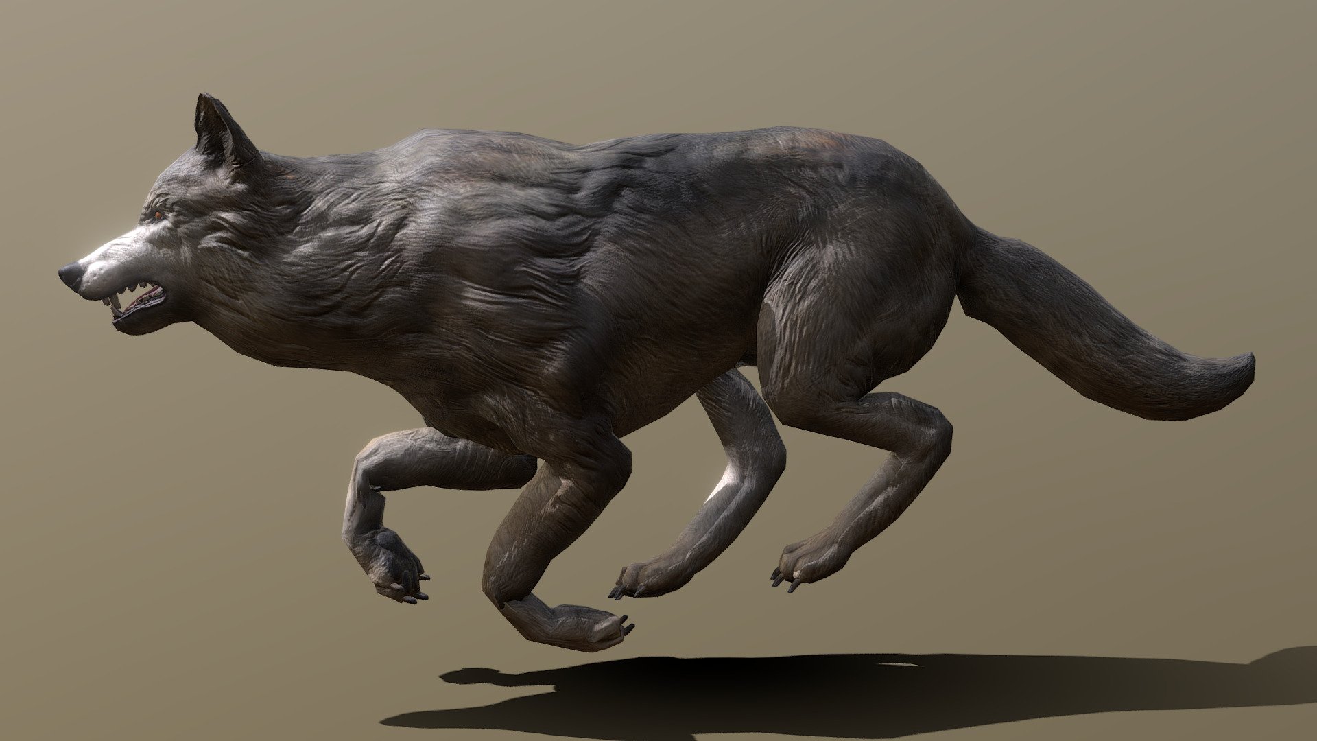 Wolf Animated - Buy Royalty Free 3D model by Fujitora (@dubaakoor22 ...