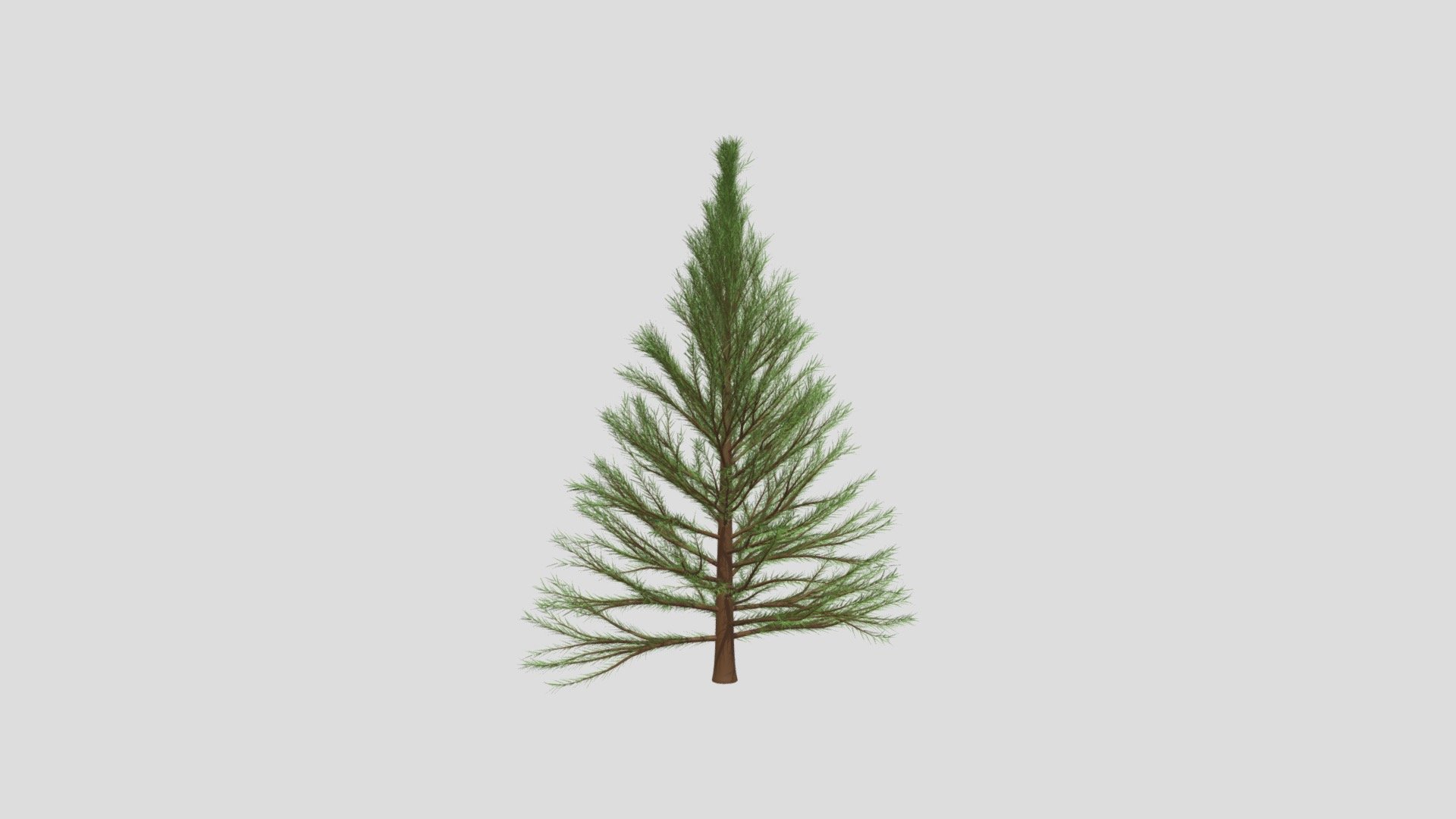 Pine Tree - Buy Royalty Free 3D model by Ed+ (@EDplus) [5ef15a2 ...