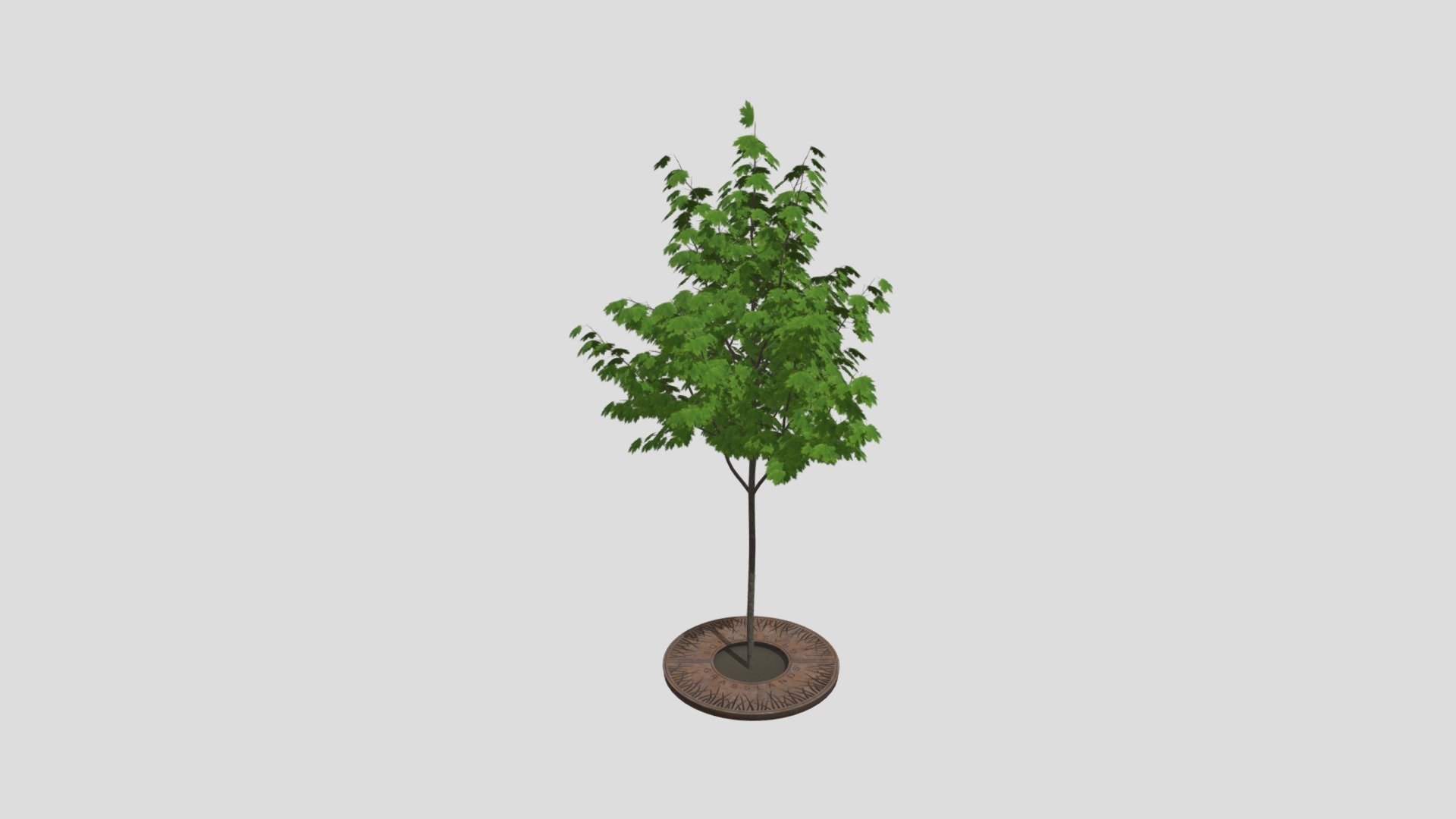 pavement tree 43 AM211 Archmodel - Buy Royalty Free 3D model by ...