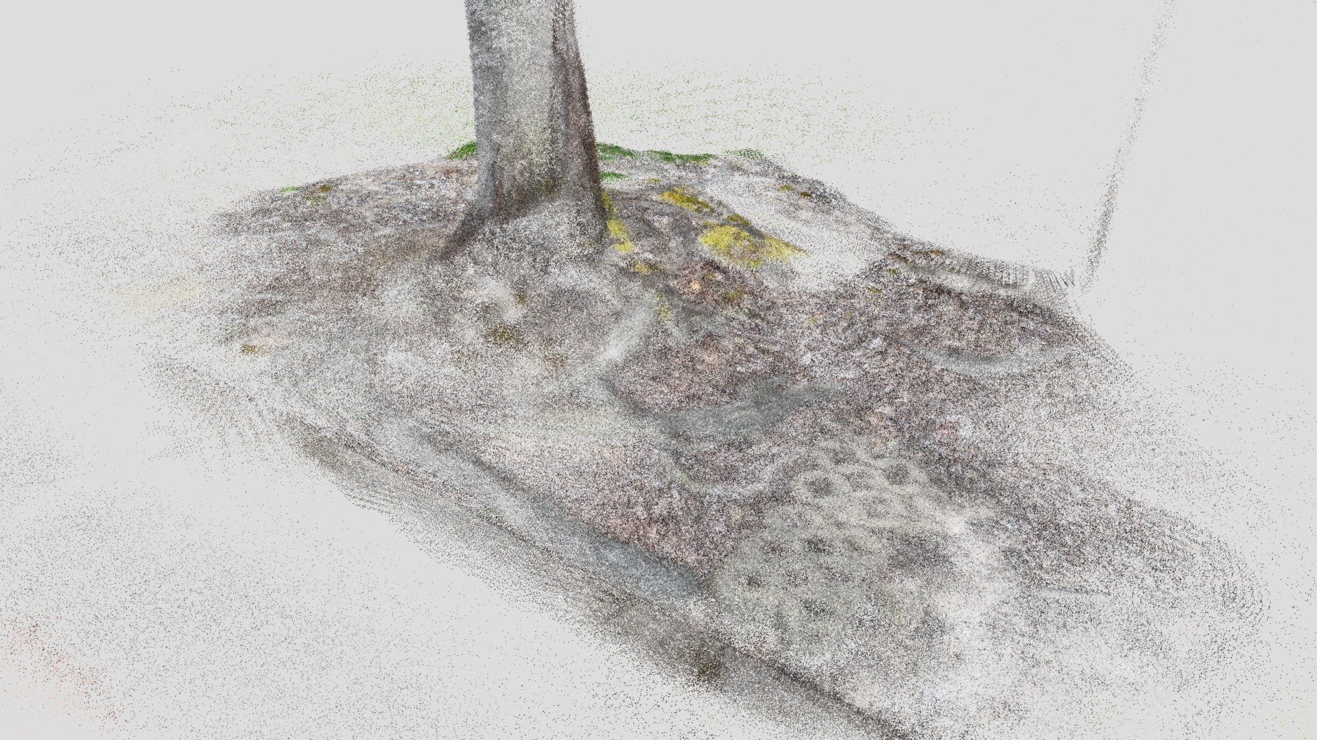 Campus tree trunk & ground1 - Lidar scan - Download Free 3D model by ...