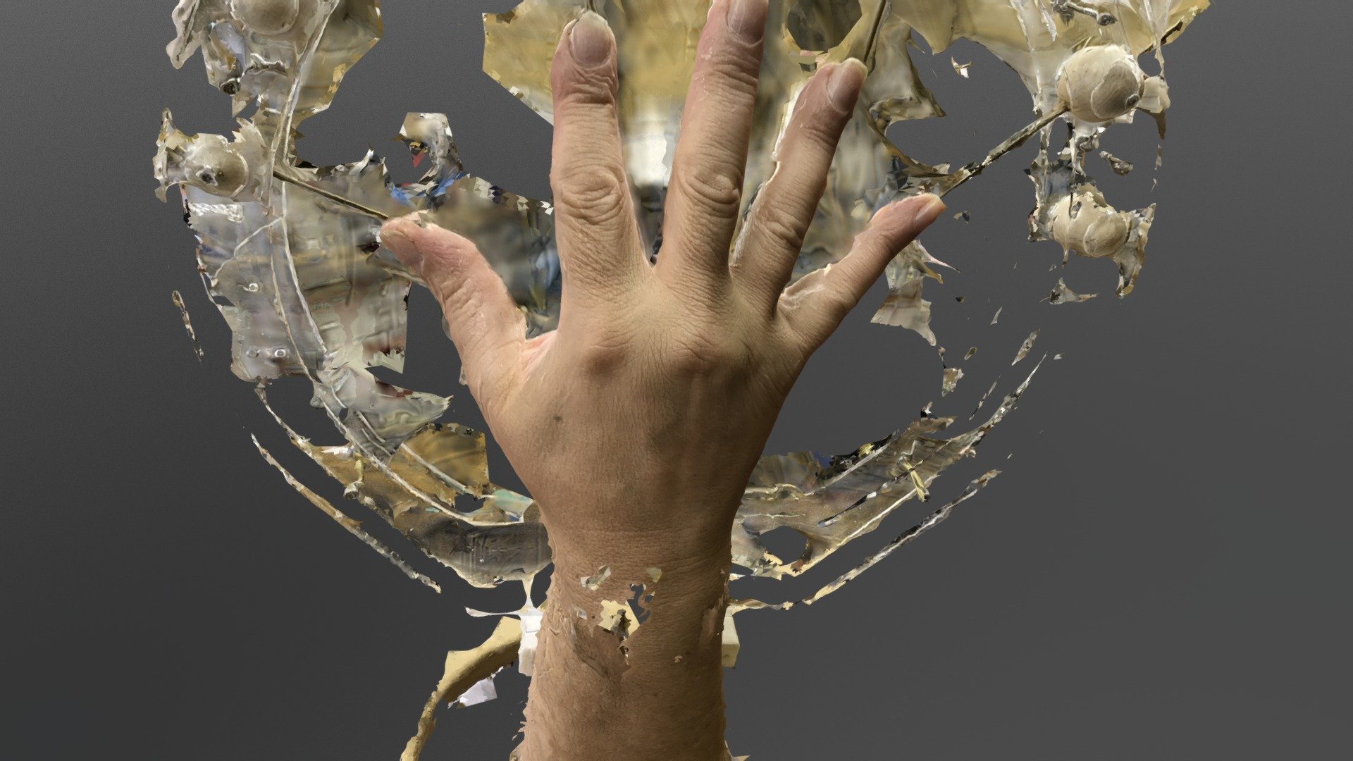 back of hand frame version 1 - 3D model by jonathan.crego [5f042bf ...