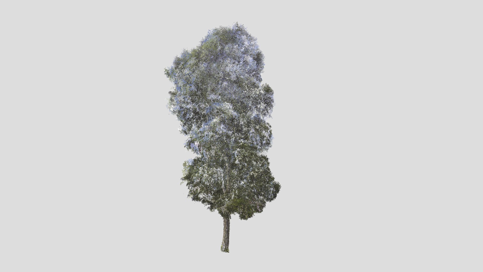 Tree Point Cloud - Buy Royalty Free 3D model by magnum_opus (@tree ...