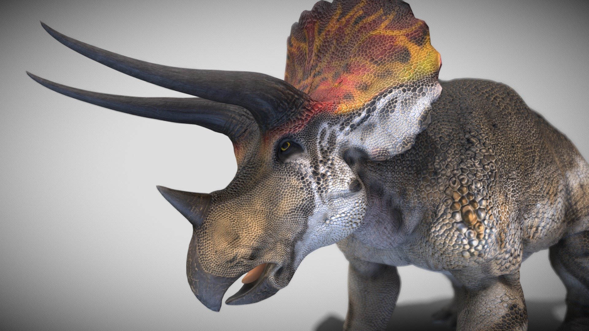 Triceratops horridus - Buy Royalty Free 3D model by robertfabiani ...