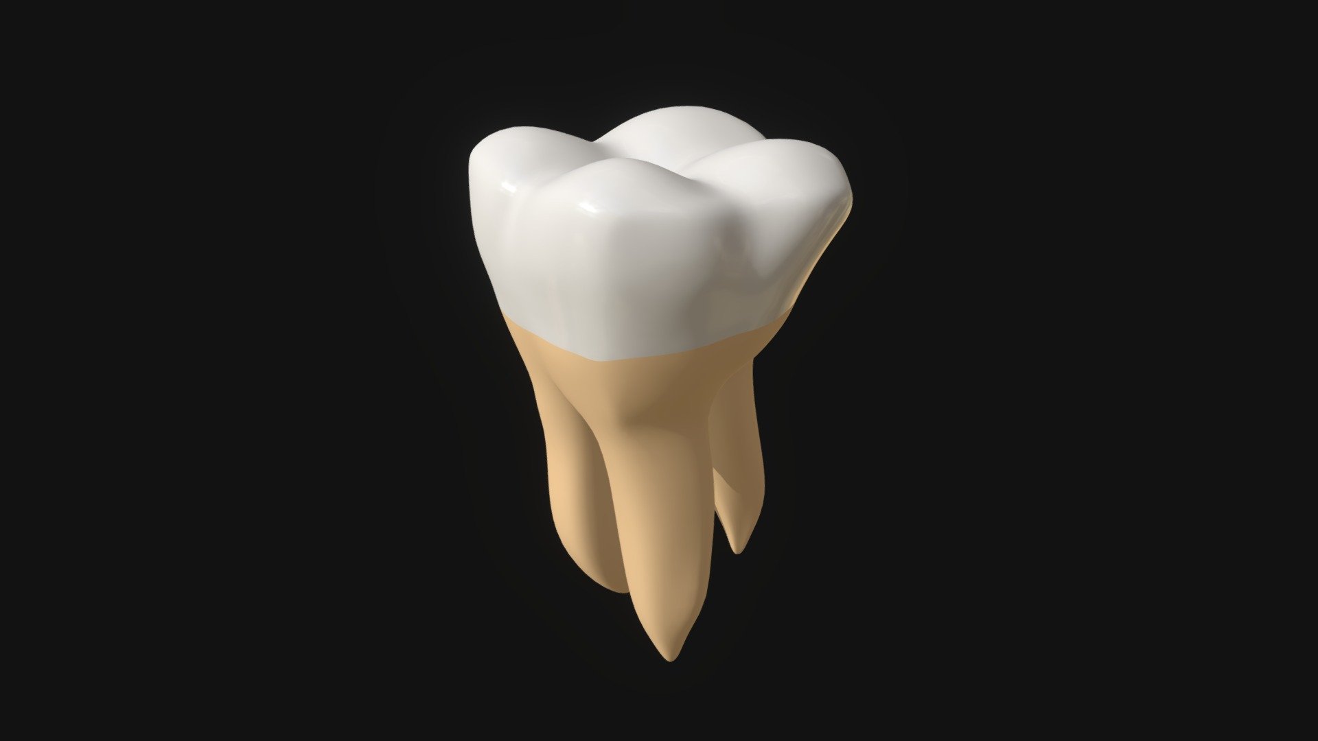 Stylized human second molar tooth - Buy Royalty Free 3D model by ...