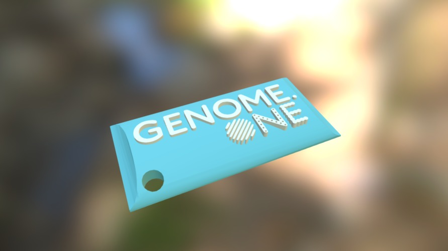 Genome Key - 3D model by the3dprinter [5f22378] - Sketchfab
