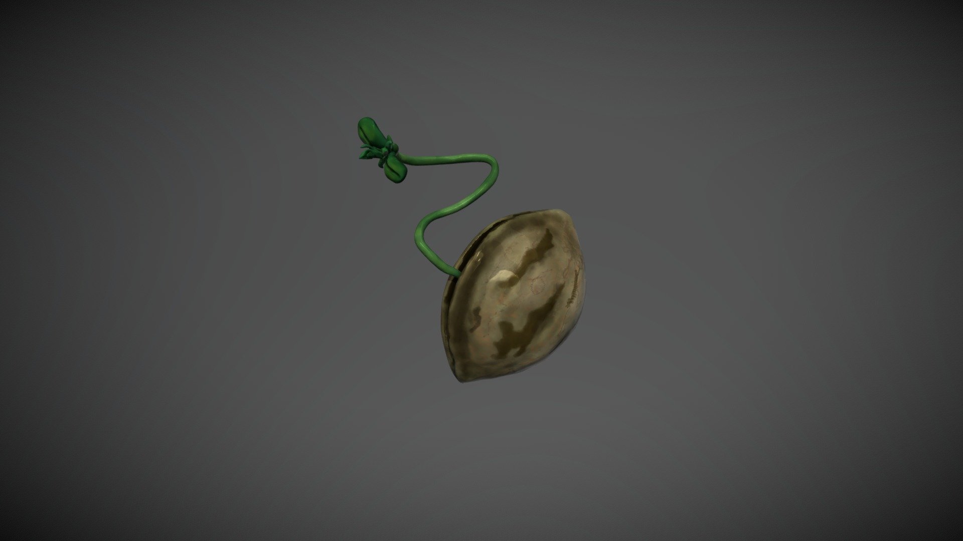 Seed - Download Free 3D model by alecz1k [5f247d8] - Sketchfab
