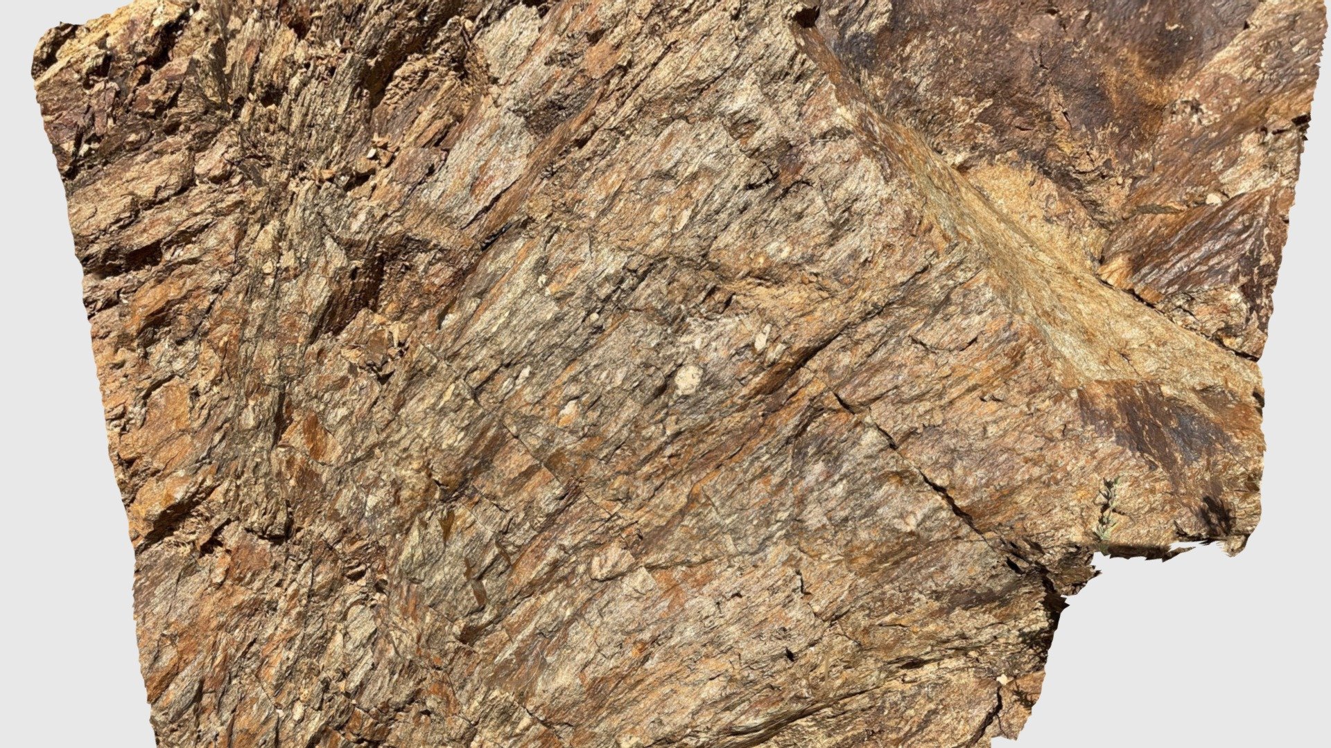 Gneiss oeillé - Download Free 3D model by Ecole Nationale Supérieure de Géologie (@ENSGeologie ...